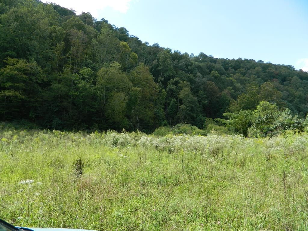 501 Meathouse Road, Kimper, KY 41539 | MLS: 119102 | LandWatch