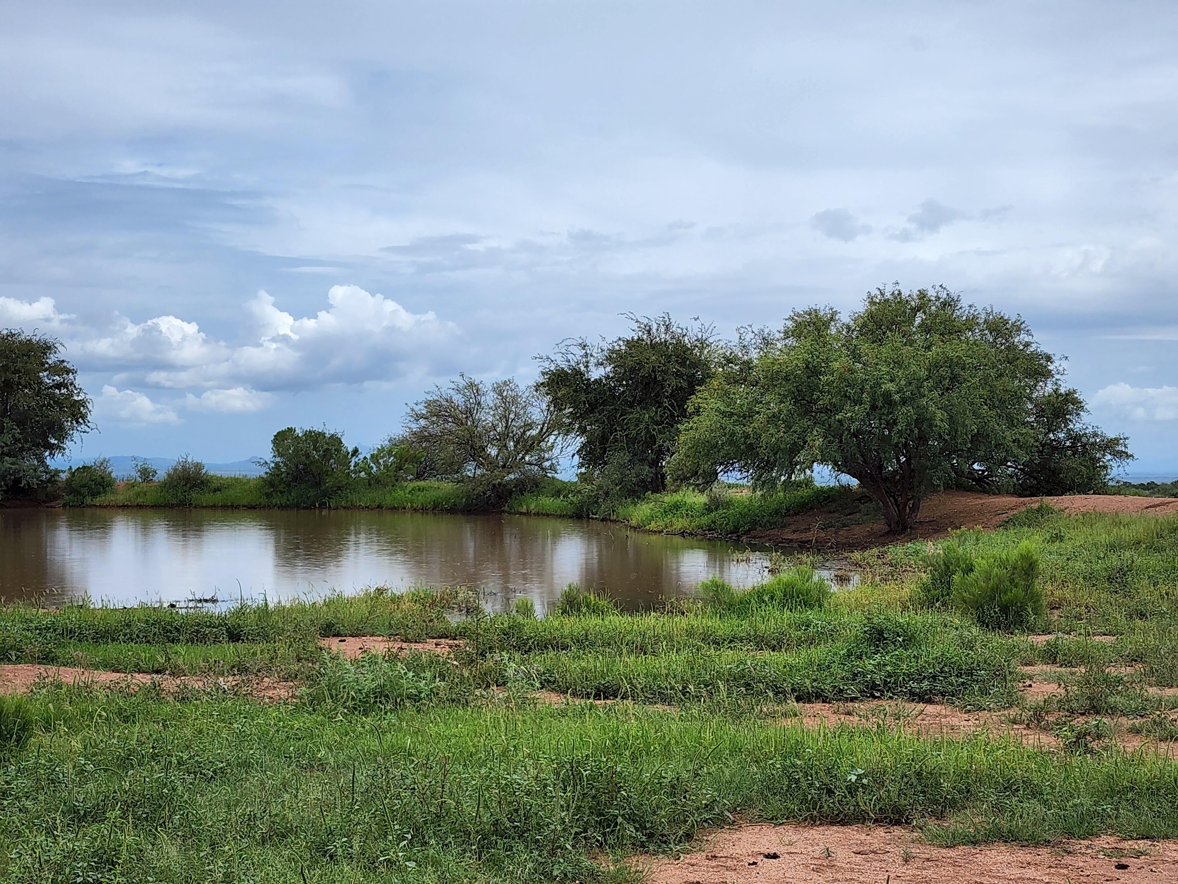 10634 North Double U Ranch Road, Elfrida, AZ 85610 | LandWatch