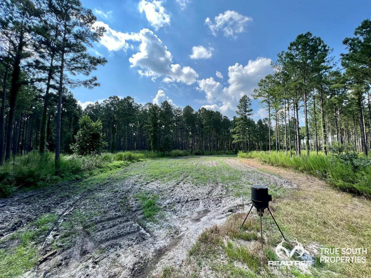 371 Causey Road, Furman, SC 29922 | LandWatch