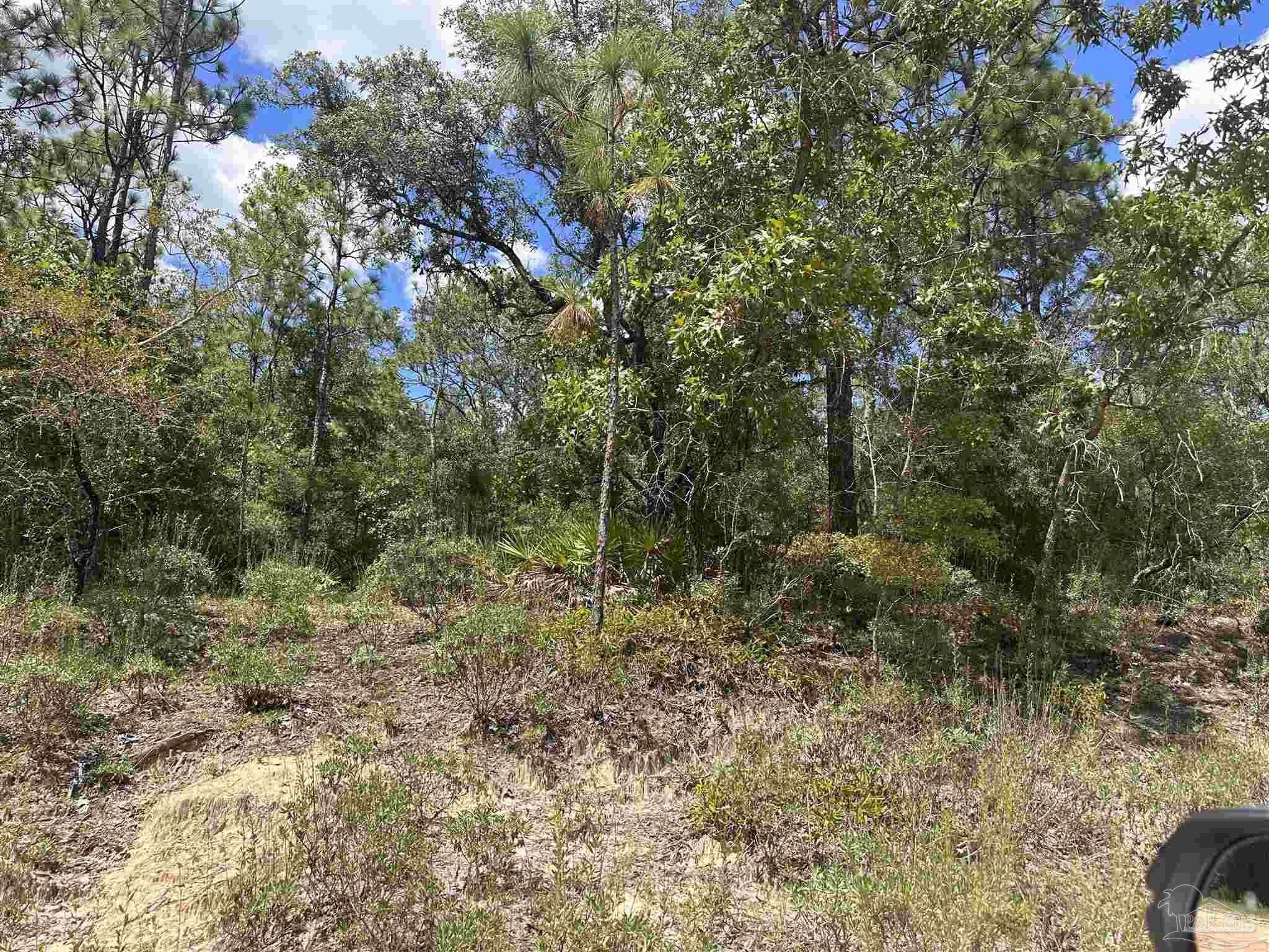 Holt, Okaloosa County, FL Undeveloped Land, Homesites for sale Property ...