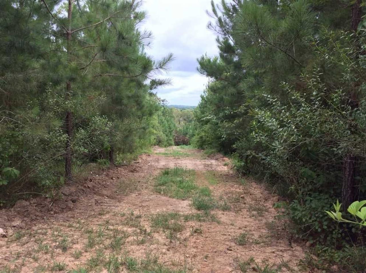 Harrisonburg, Catahoula Parish, LA Recreational Property, Timberland ...