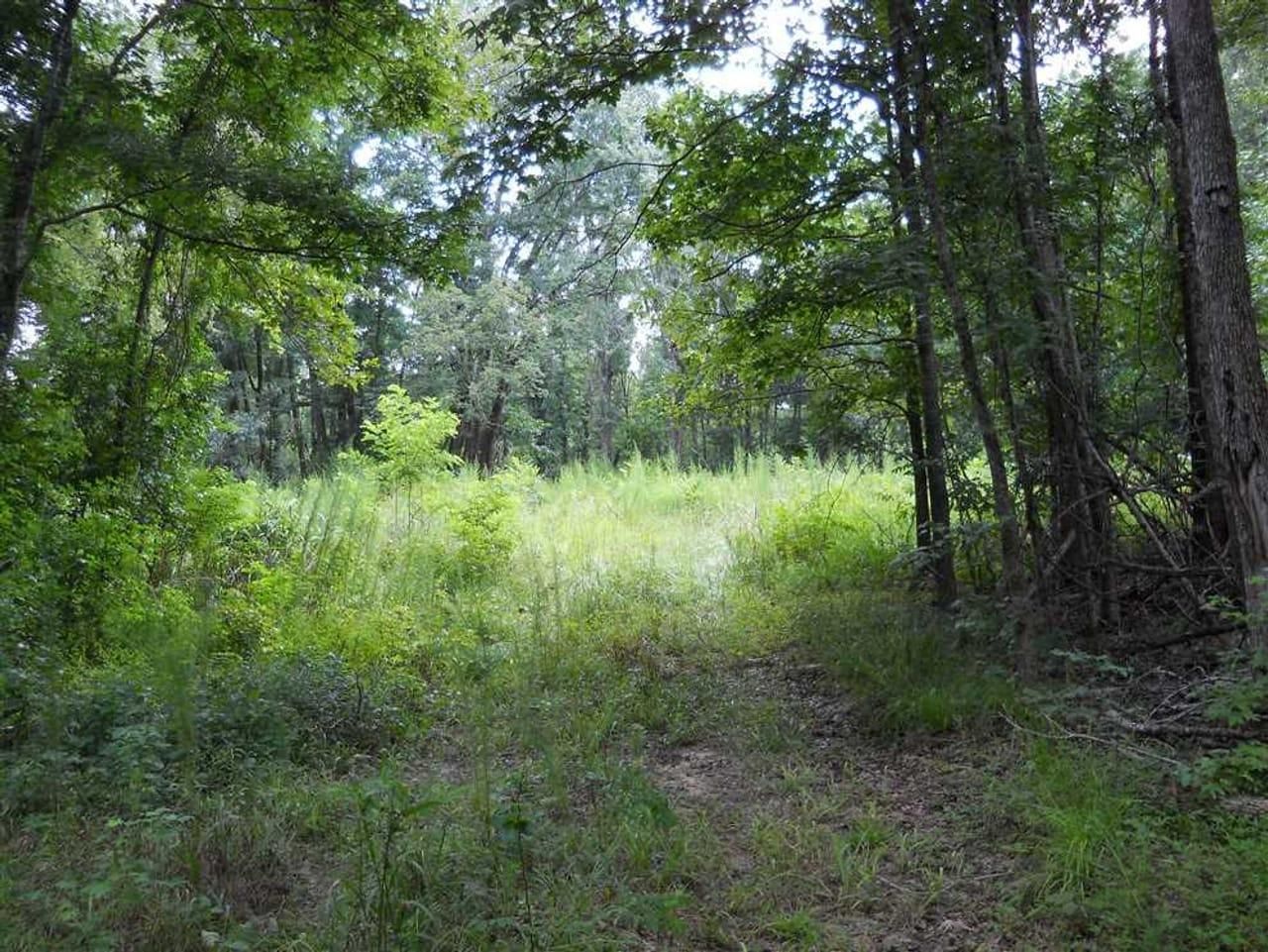 87.81 acres in Rodney, MS, | LandWatch