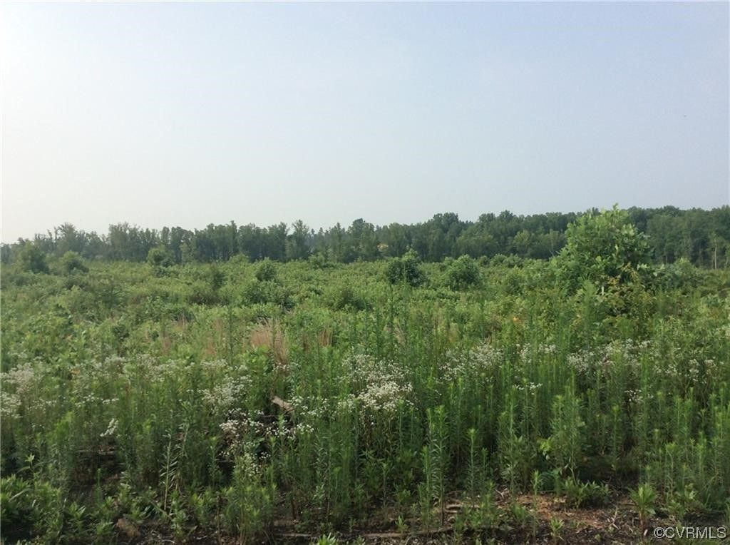 Gum Spring, Goochland County, VA Undeveloped Land for sale Property ID ...