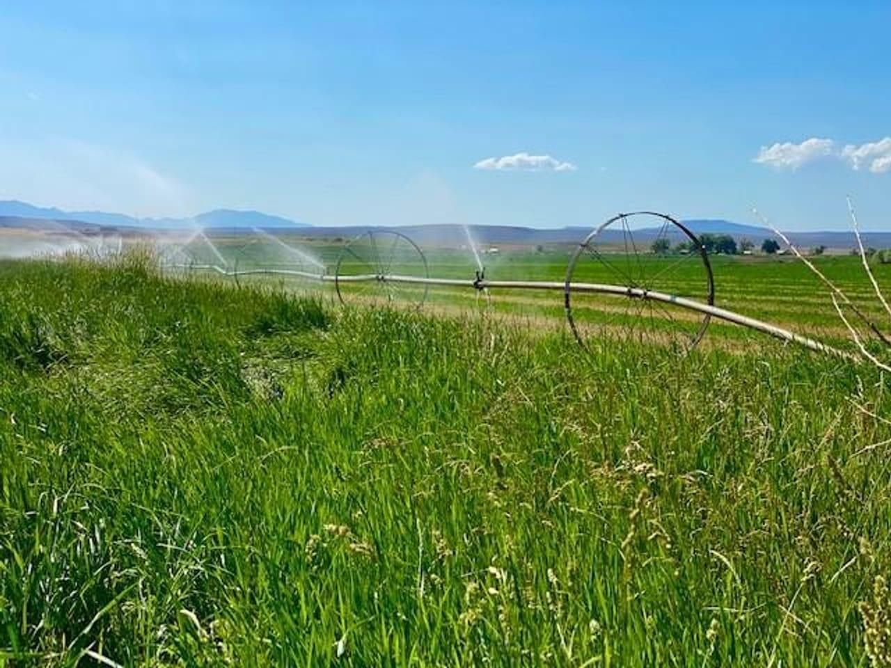 146 acres in Keating, OR, 97814 | LandWatch