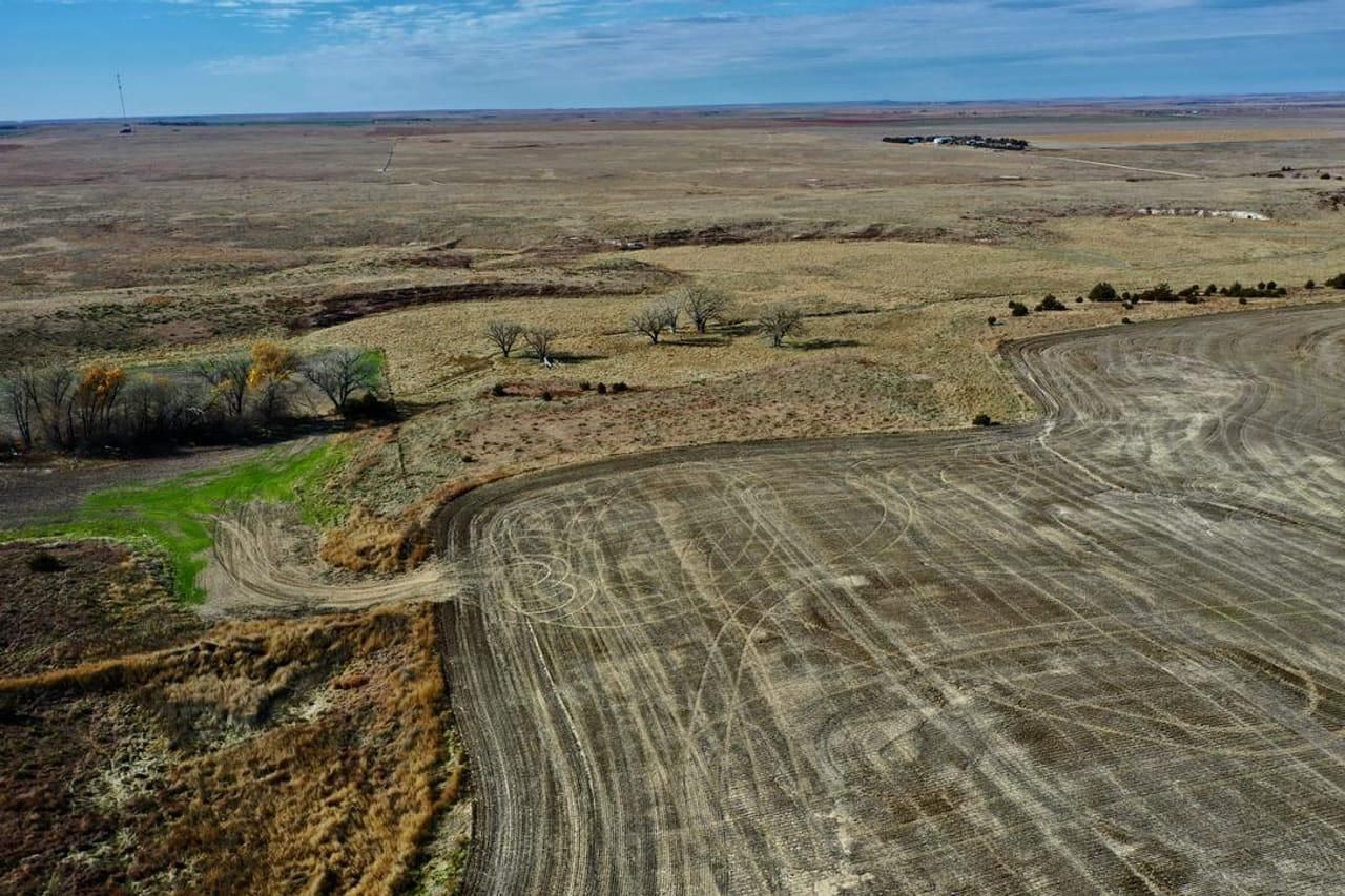 320 acres in Ransom, KS, 67572 | LandWatch