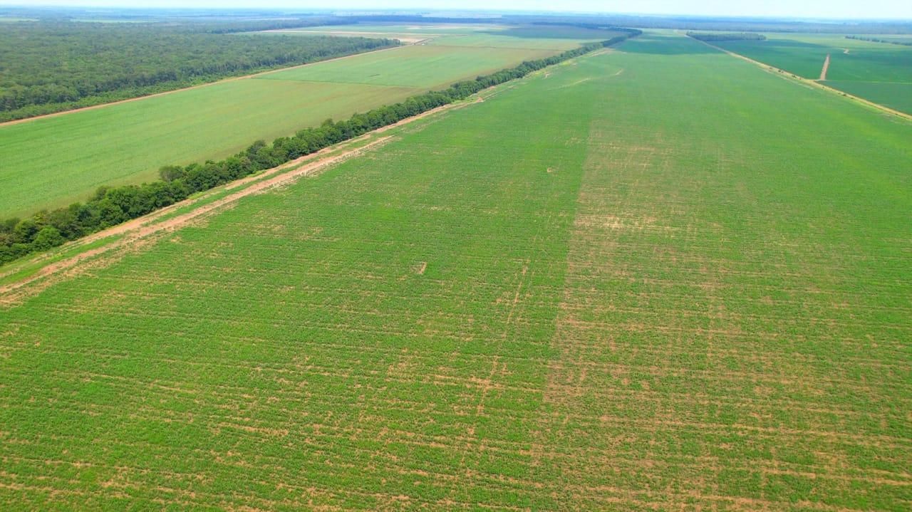 Kilbourne, Acadia Parish, LA Farms and Ranches, Recreational Property ...