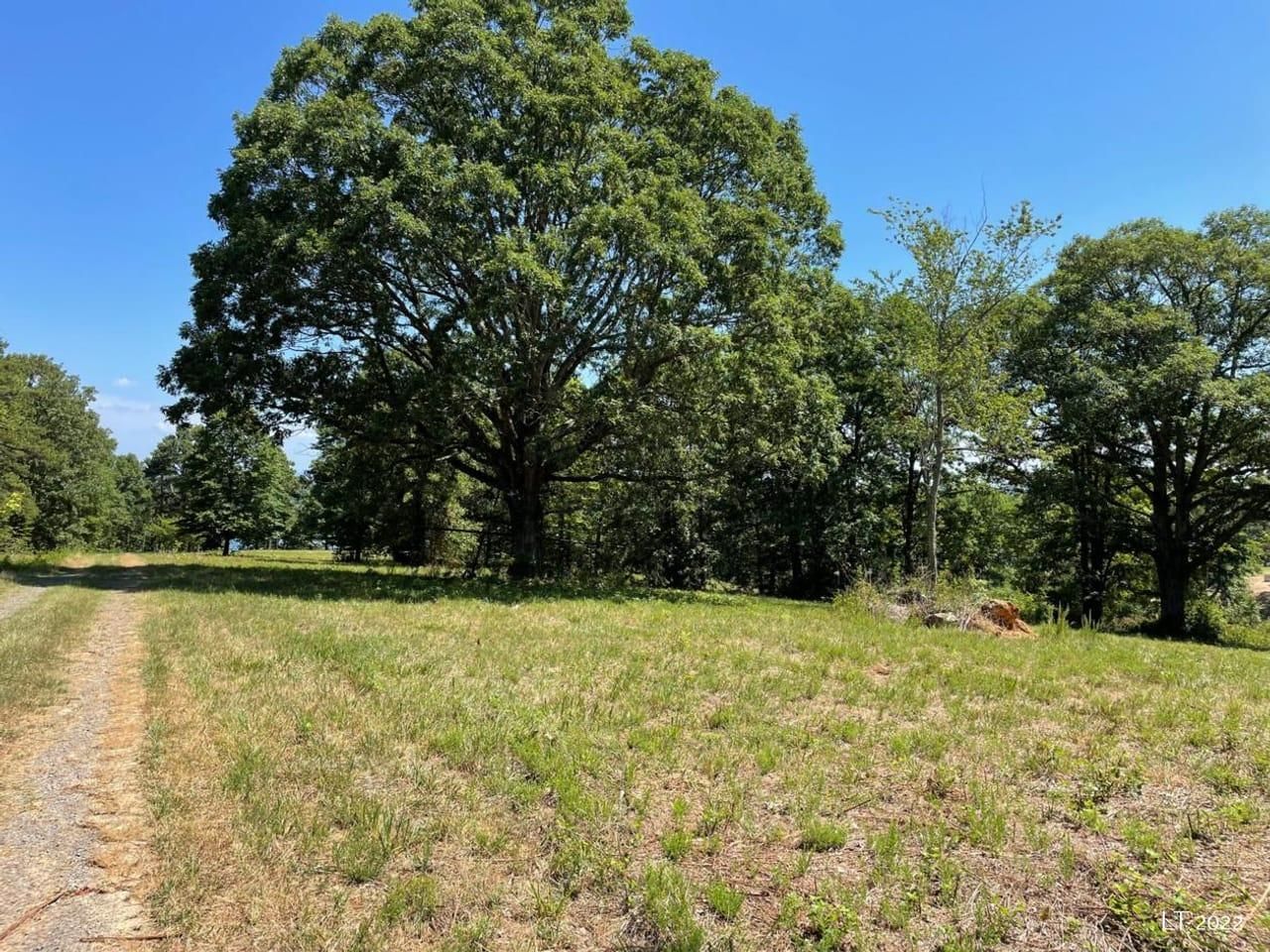 0000 East Mountain Rd., Bee Branch, AR 72013 | LandWatch