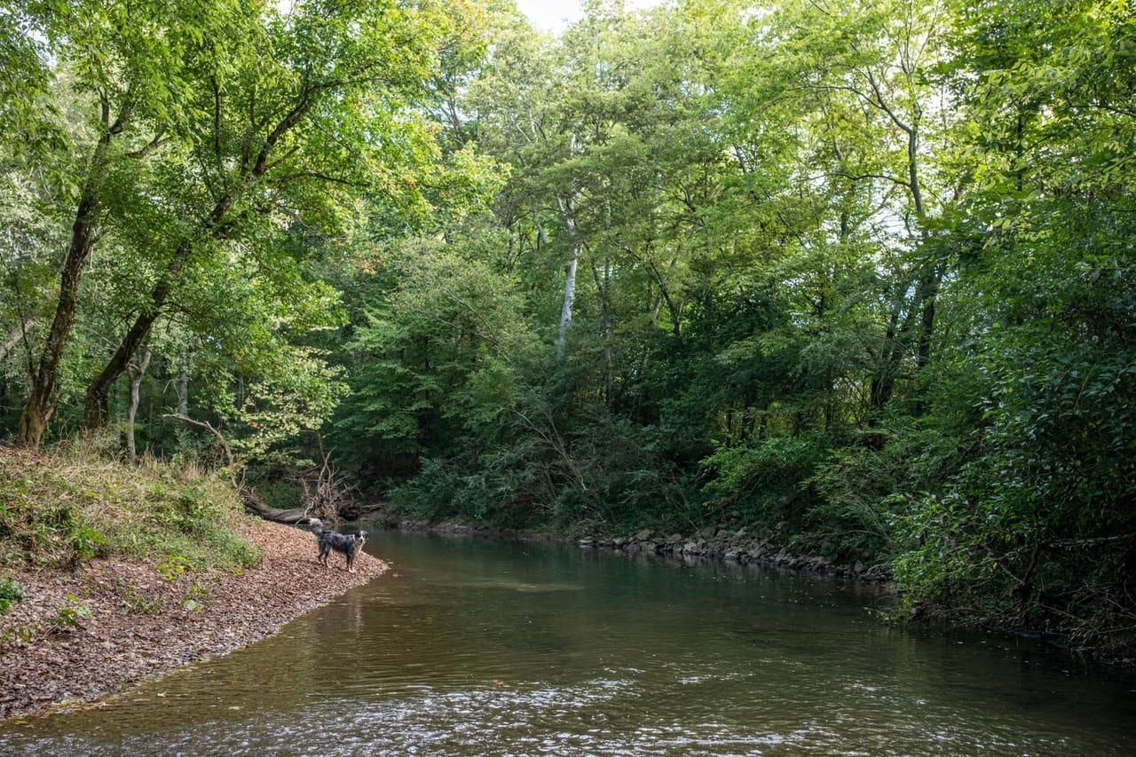 Franklin, Williamson County, TN Farms and Ranches, Recreational ...