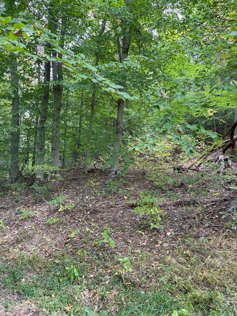 14685 Morehead Road, Wallingford, KY 41093 | MLS: 23000409 | LandWatch