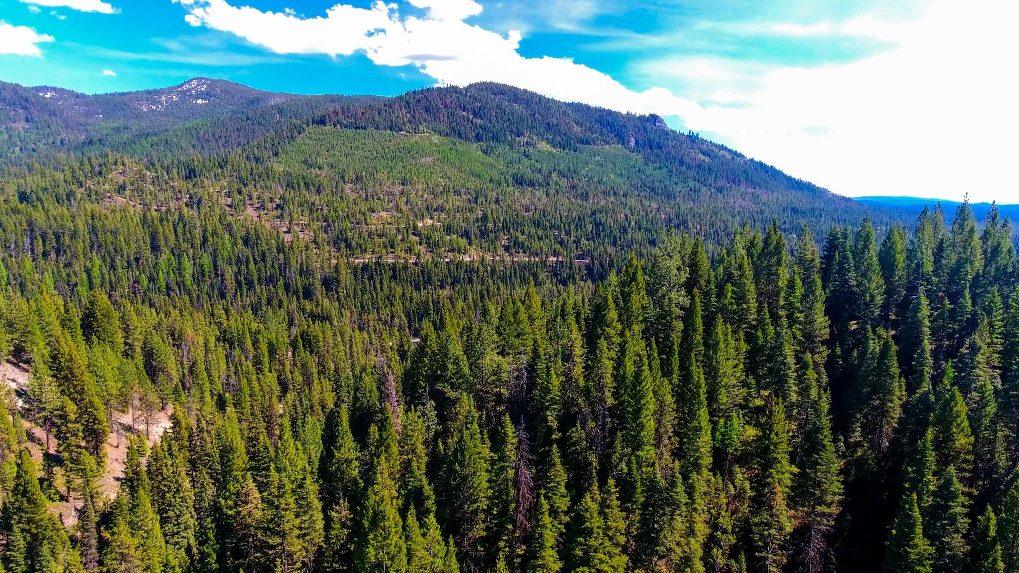 Warm Lake Rd, Cascade, ID 83611 | LandWatch