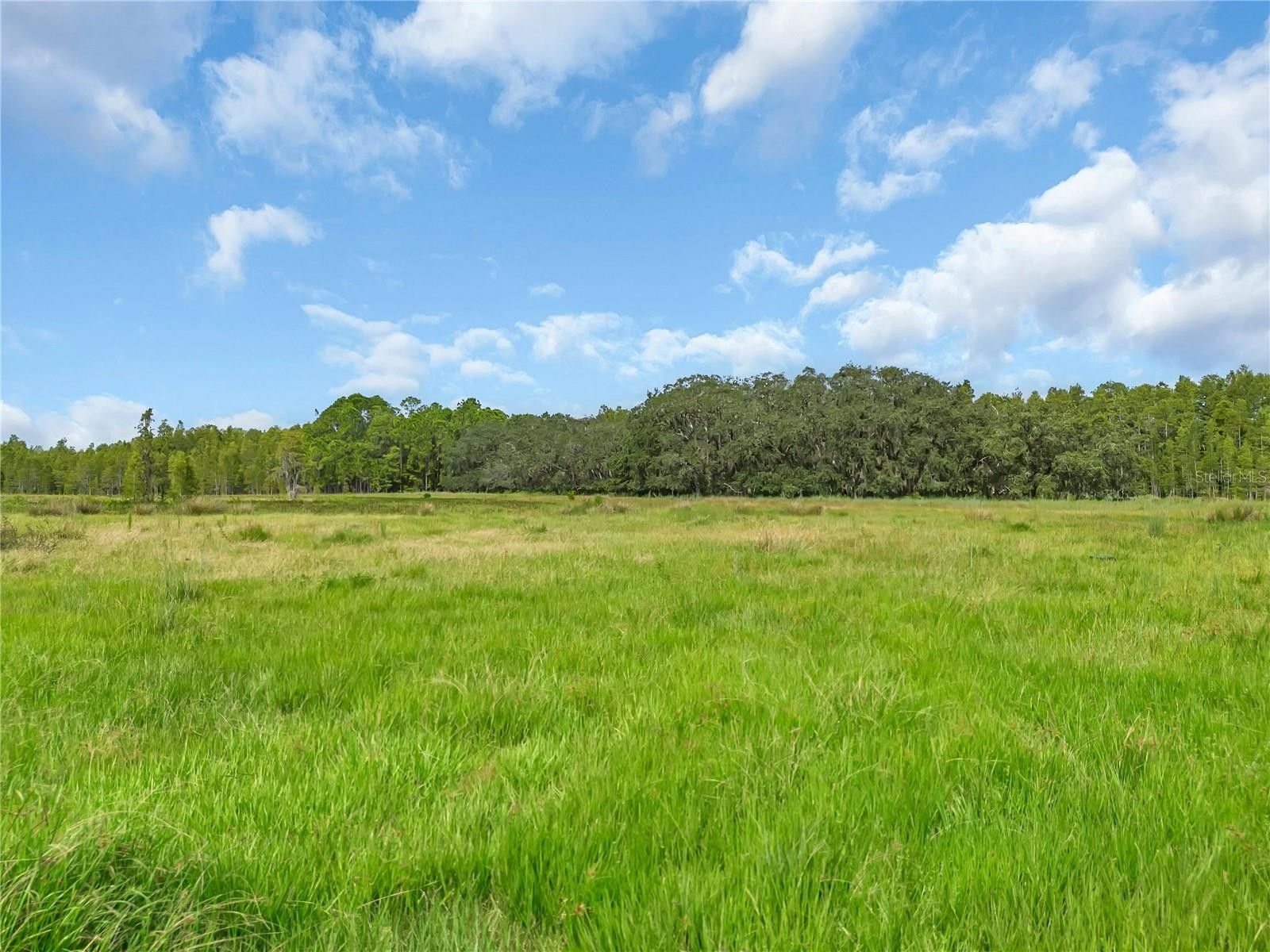 Davenport, Polk County, FL Undeveloped Land for sale Property ID ...