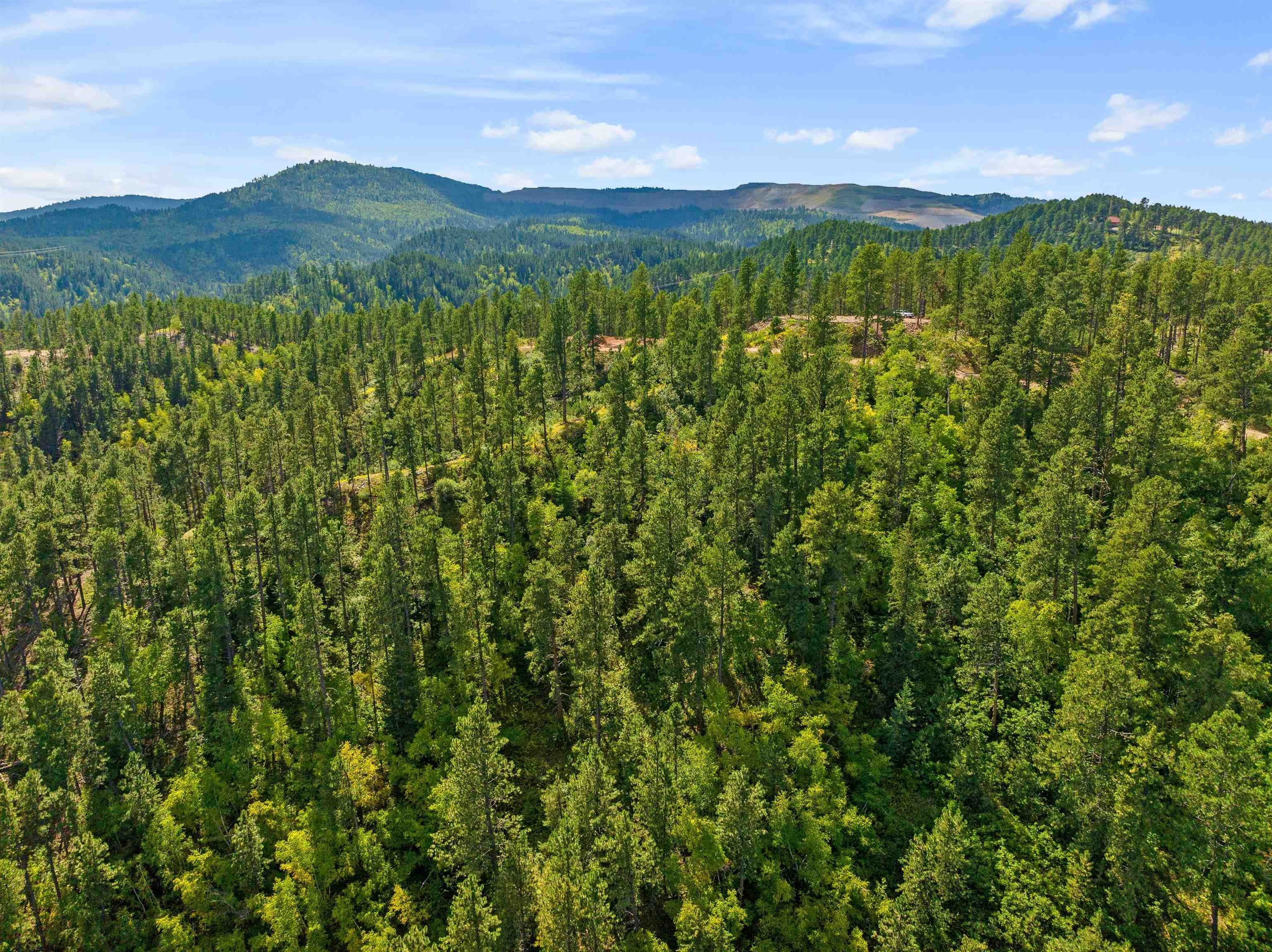 Paris No.1 Lode Cutting Mine Road, Lead, SD 57754 | MLS: 77718 | LandWatch