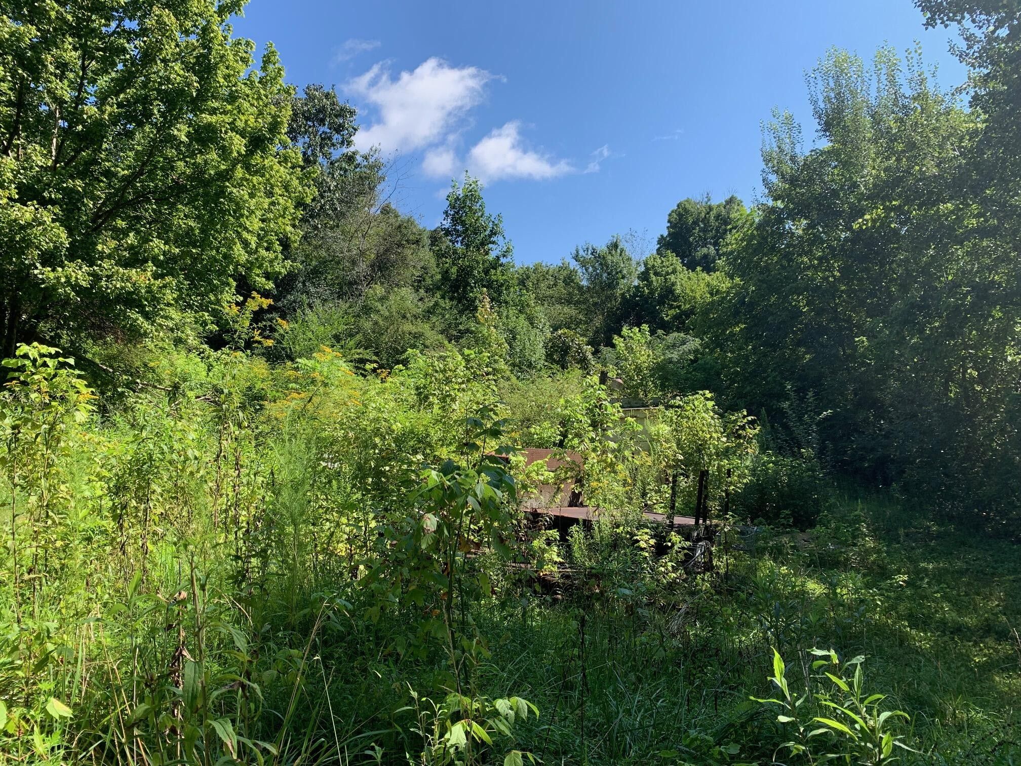 Decatur, Meigs County, TN House for sale Property ID: 417677765 | LandWatch