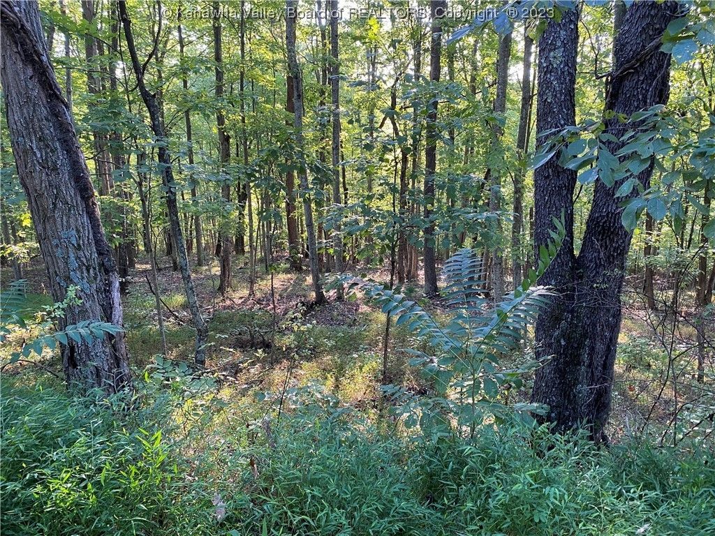 Spurlockville, Lincoln County, WV Undeveloped Land, Lakefront Property ...