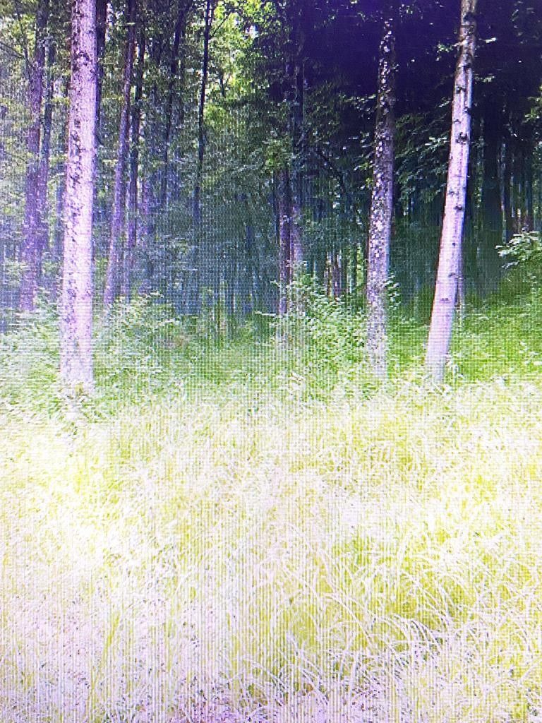 Smithfield, Wetzel County, WV Undeveloped Land for sale Property ID ...