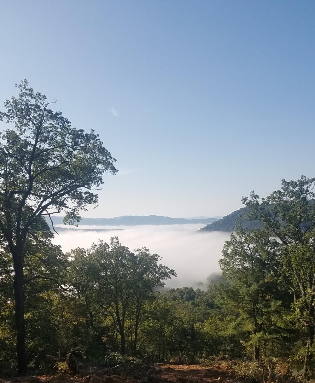 Oneida, Scott County, TN Farms and Ranches for sale Property ID ...