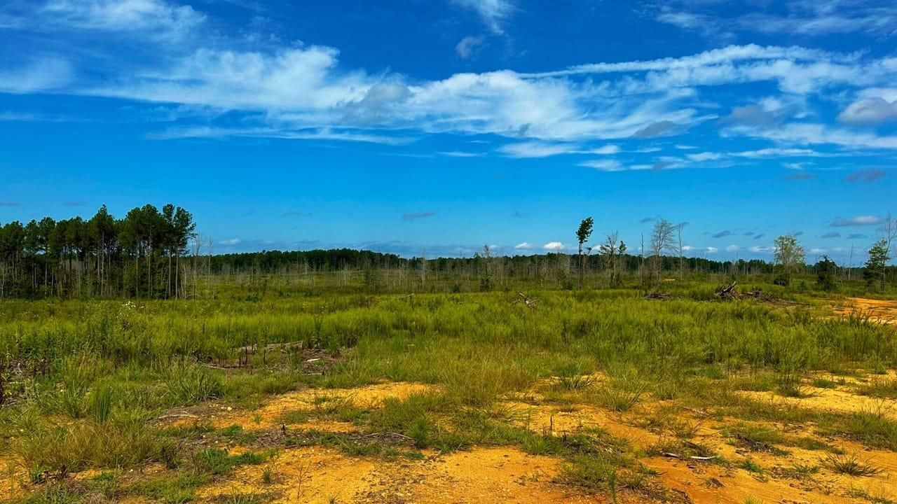 Edgewood Rd, Crawfordville, GA 30631 | LandWatch