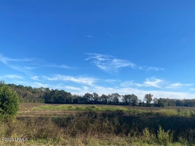 Estill, Hampton County, SC Farms and Ranches for sale Property ID ...