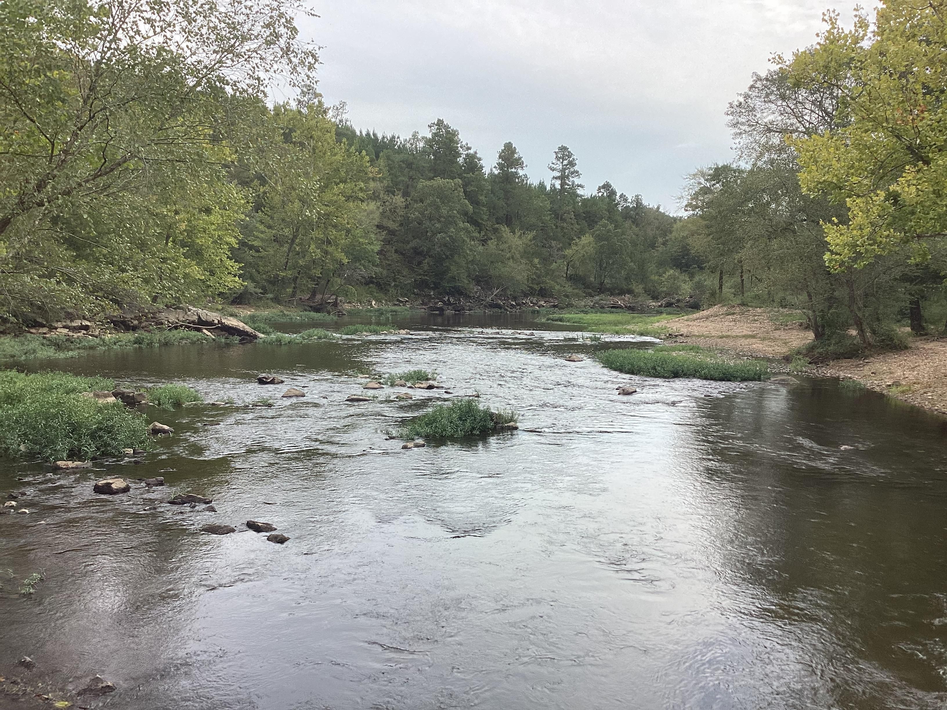 Honey Island, De Queen, AR 71832 | LandWatch