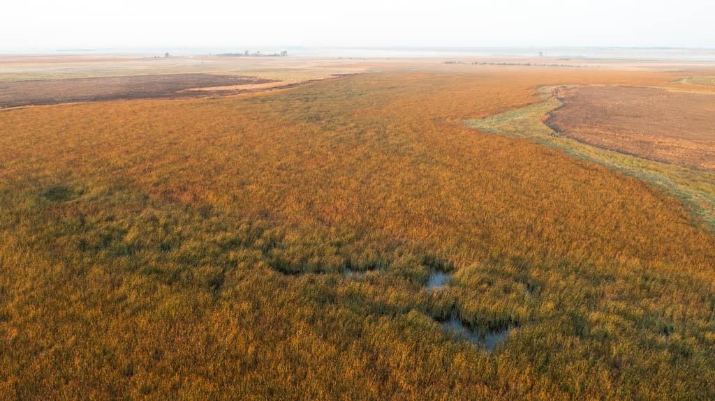 154th Street, Conde, SD 57434 | LandWatch