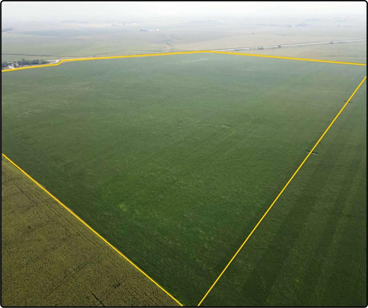 150th St, Adams, MN 55909 | LandWatch