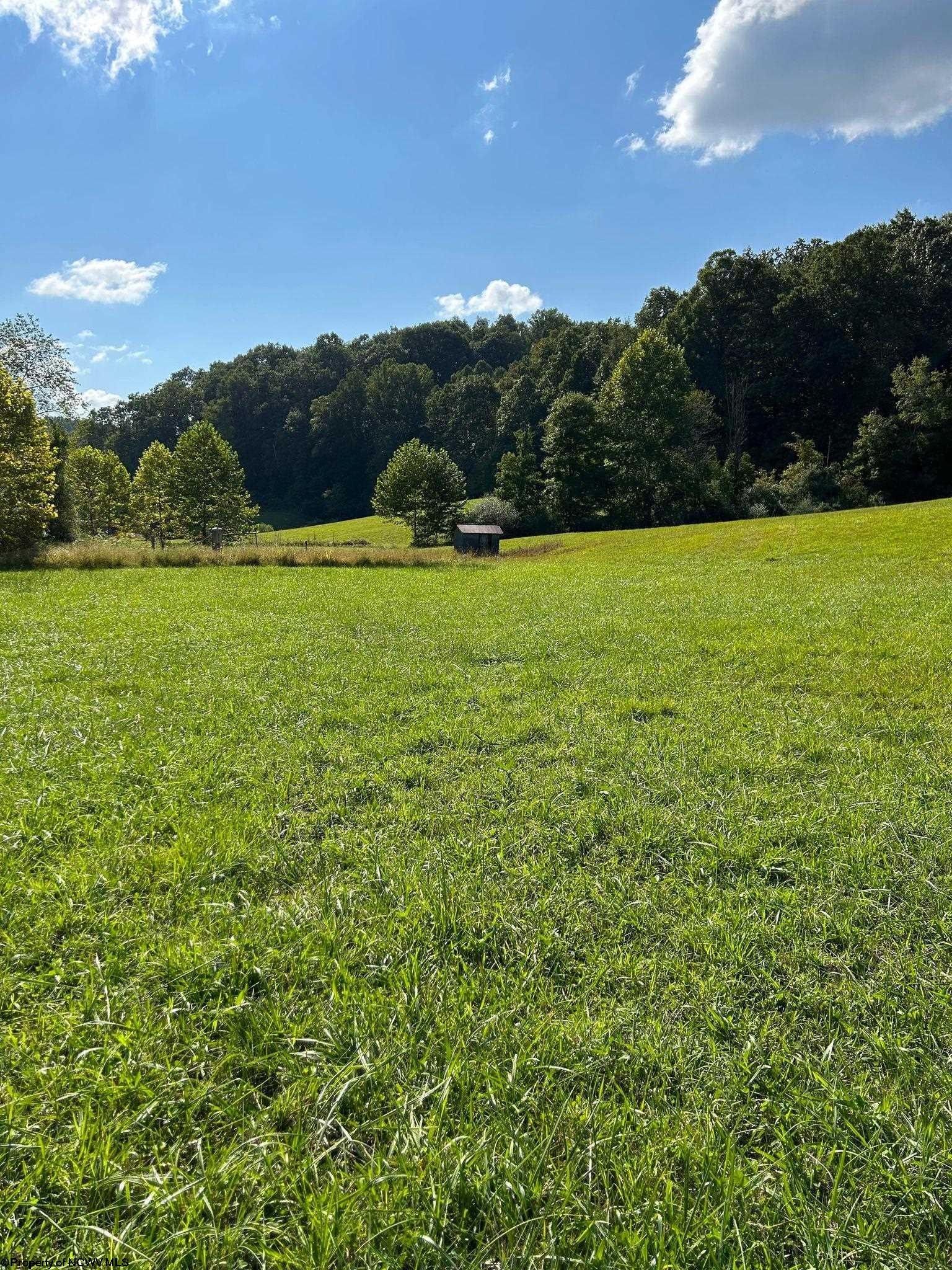 0 Hershman Road, Horner, WV 26372 | MLS: 10151148 | LandWatch