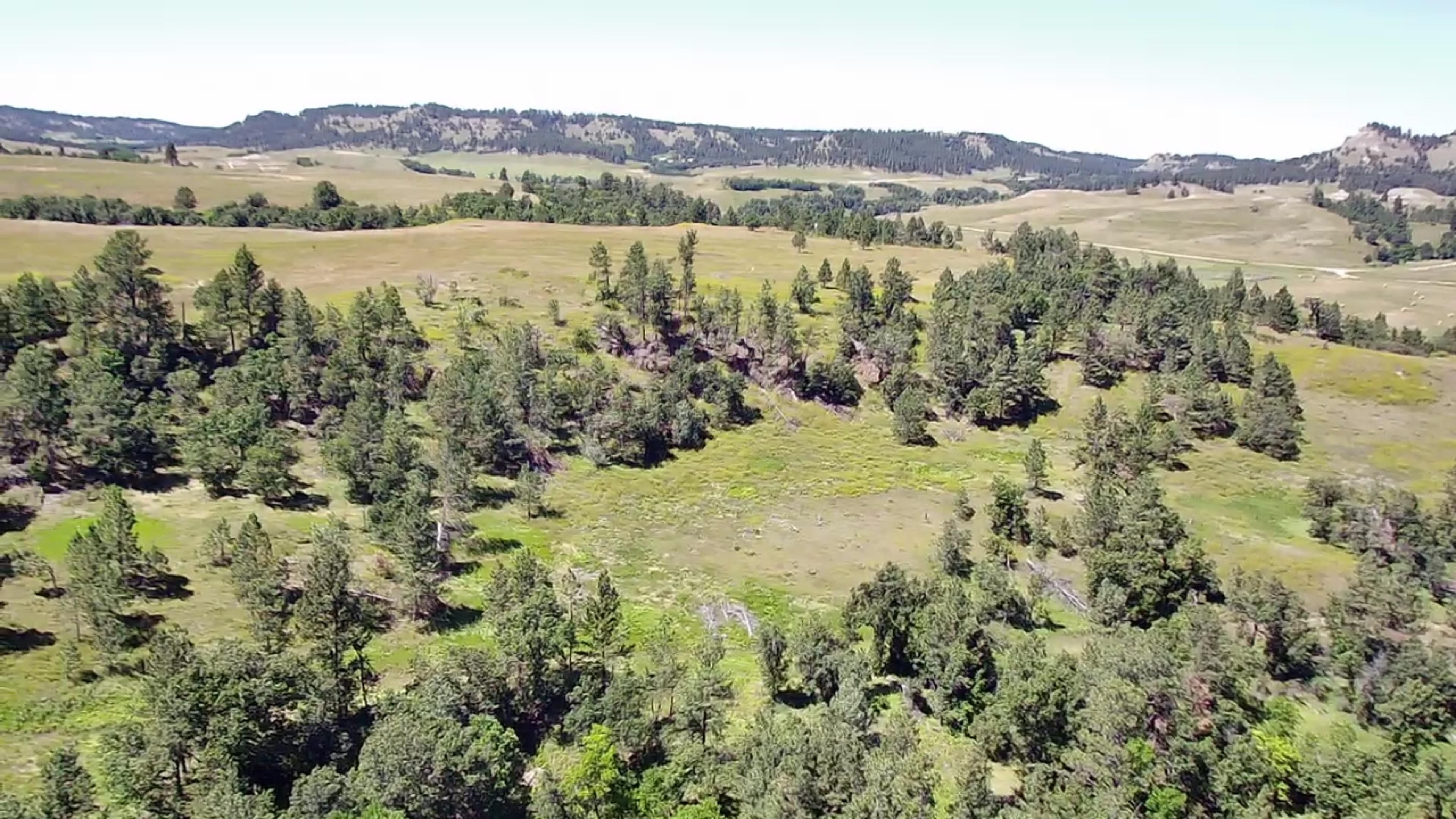 38.58 acres in Hulett, WY, 82720 | LandWatch
