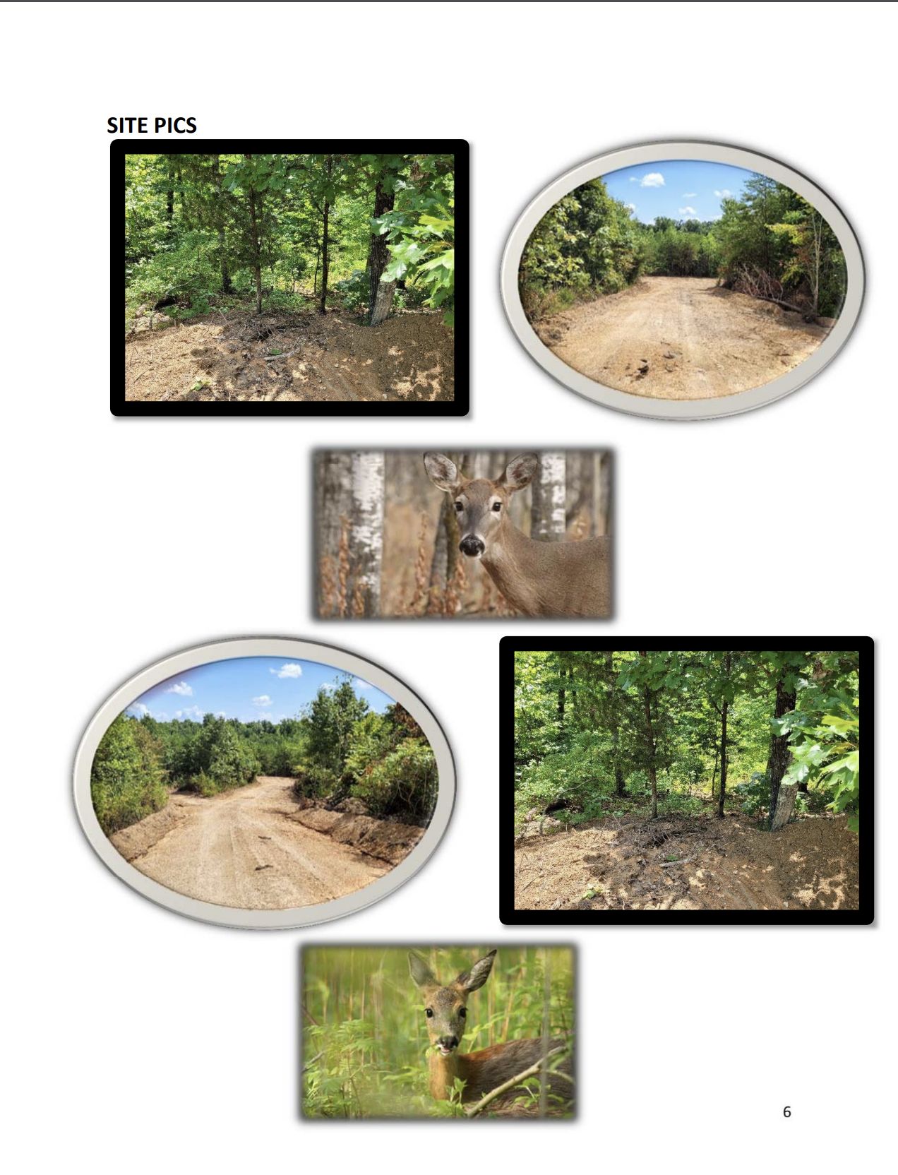 Hohenwald, TN 38462, Hohenwald, TN 38462 | LandWatch