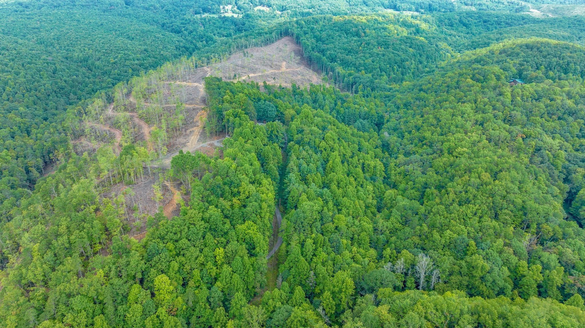 Duffield, Lee County, VA Undeveloped Land for sale Property ID ...