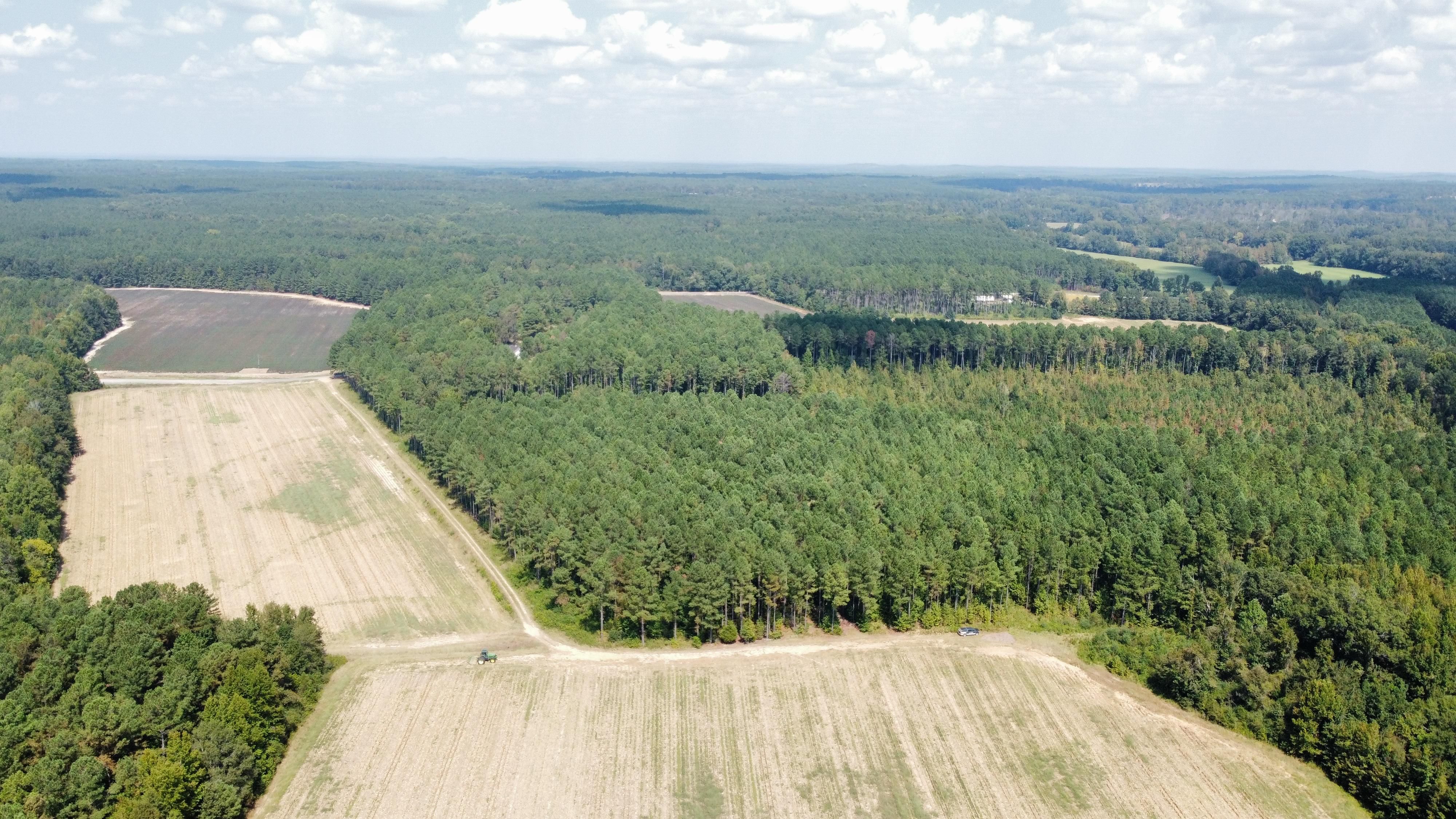 64 acres in Eupora, MS, 39744 | LandWatch