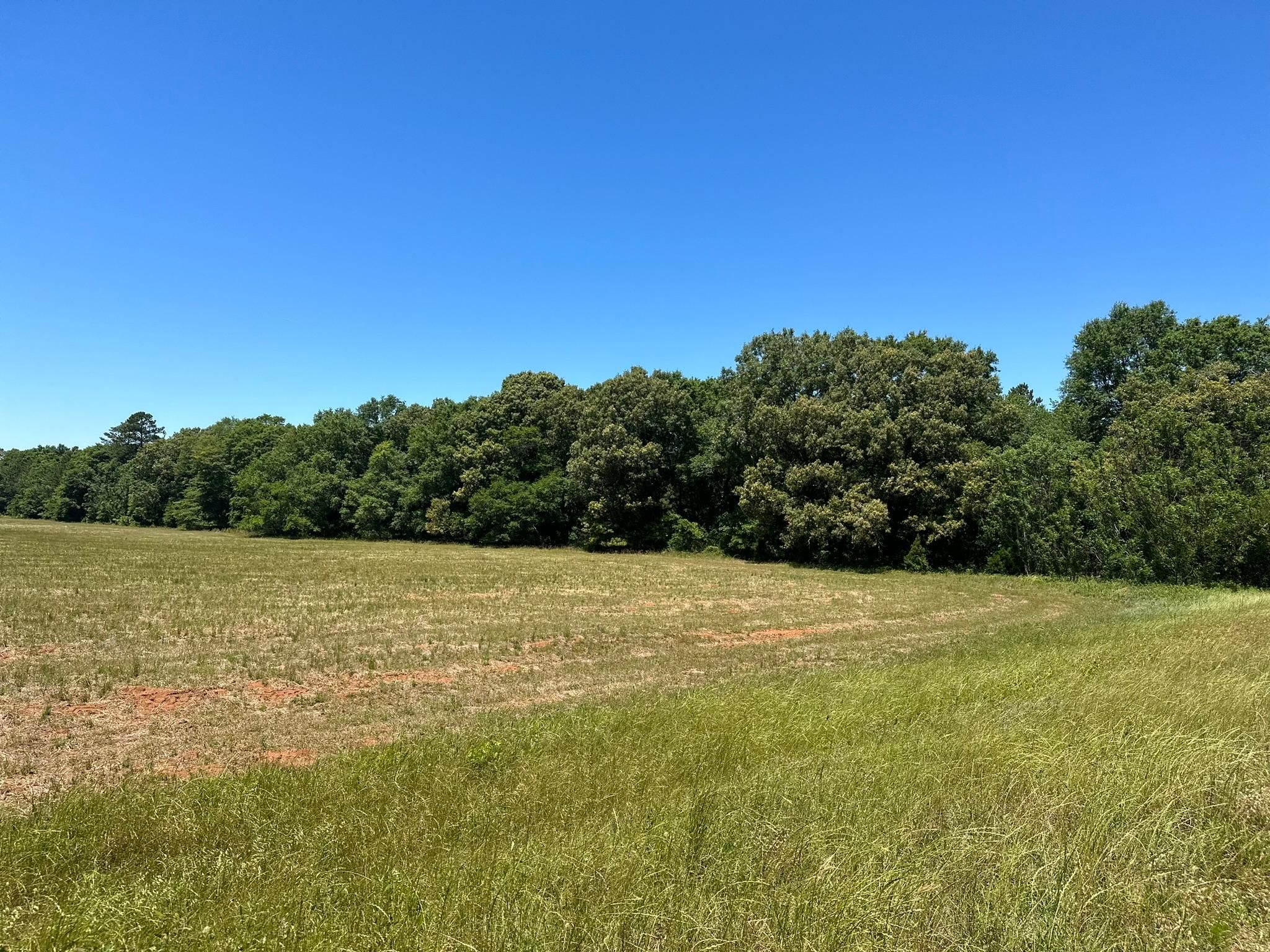 Carter Fishpond Road, Plains, GA 31780 | LandWatch