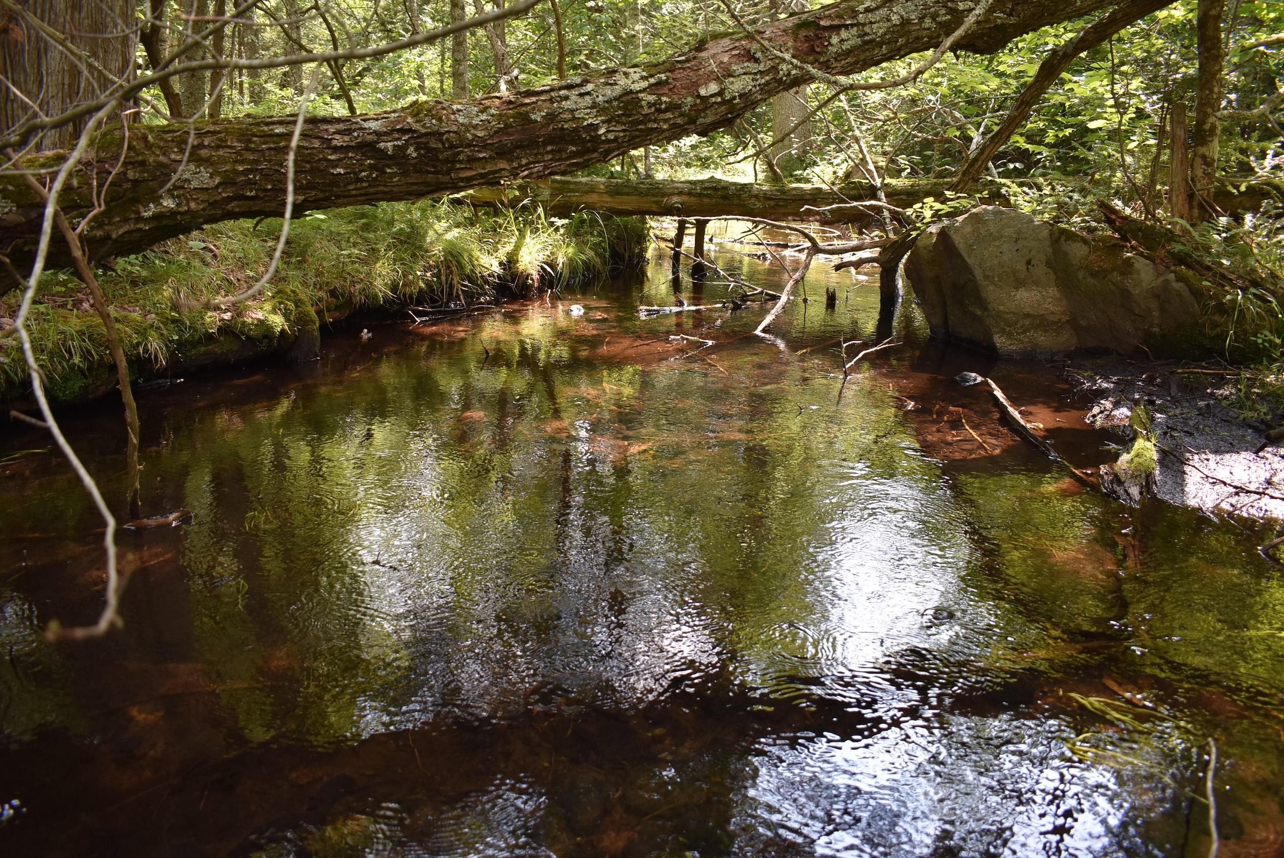 Fence, Florence County, WI Recreational Property, Hunting Property for ...