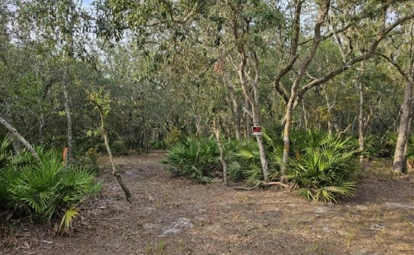 Fanning Springs, Gilchrist County, FL Recreational Property ...