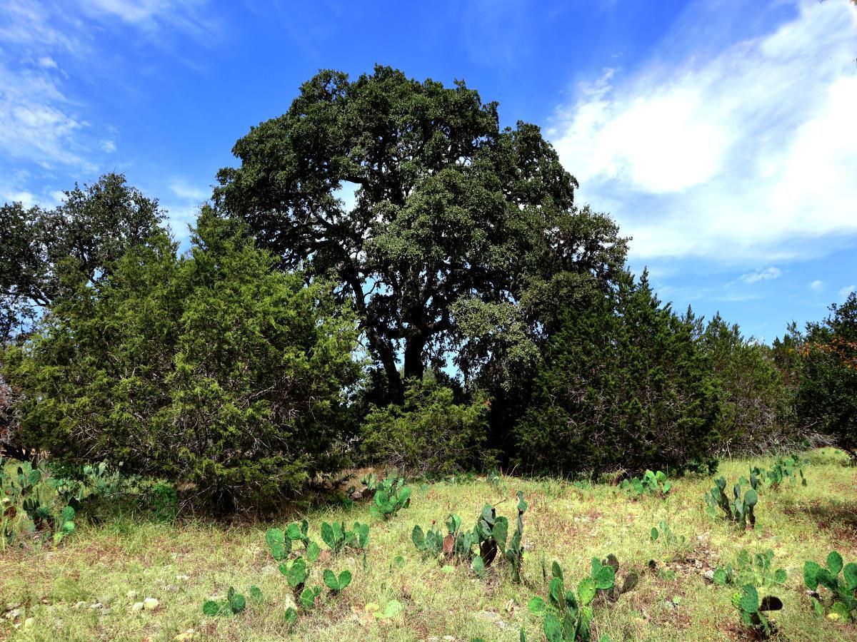 River Ranch Drive, Bandera, TX 78003 | LandWatch