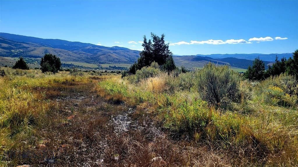 166.96 Acres Private Rd off MT Hwy 287, Virginia City, MT 59729 | MLS ...