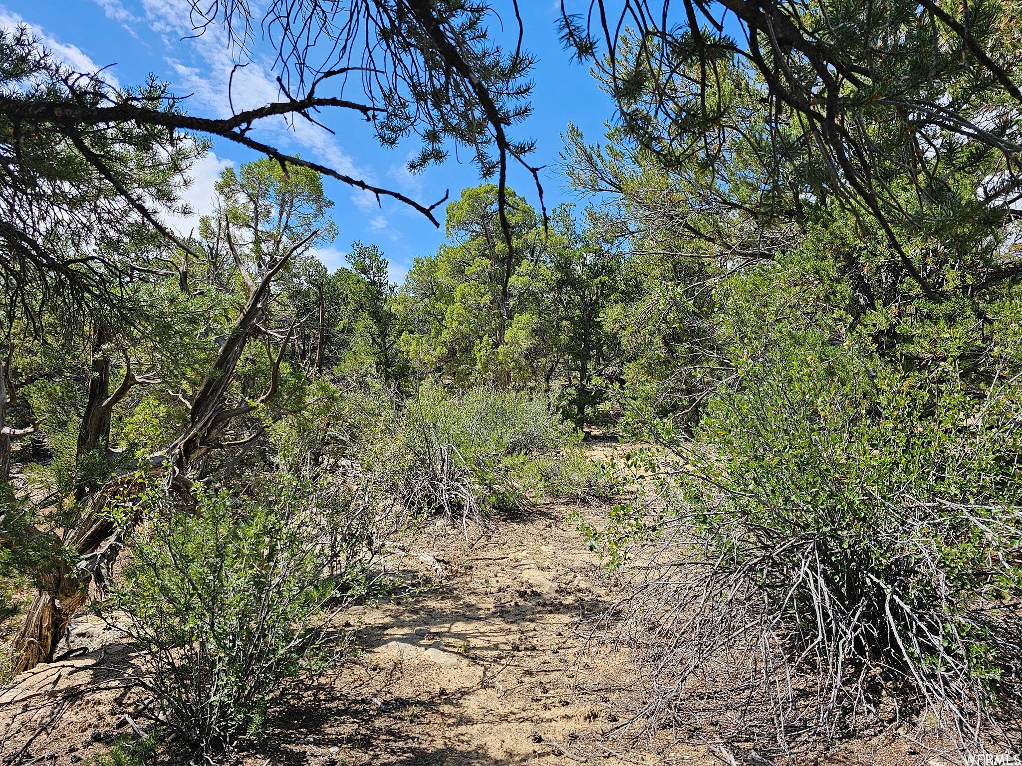 Fruitland, Duchesne County, UT Undeveloped Land for sale Property ID ...
