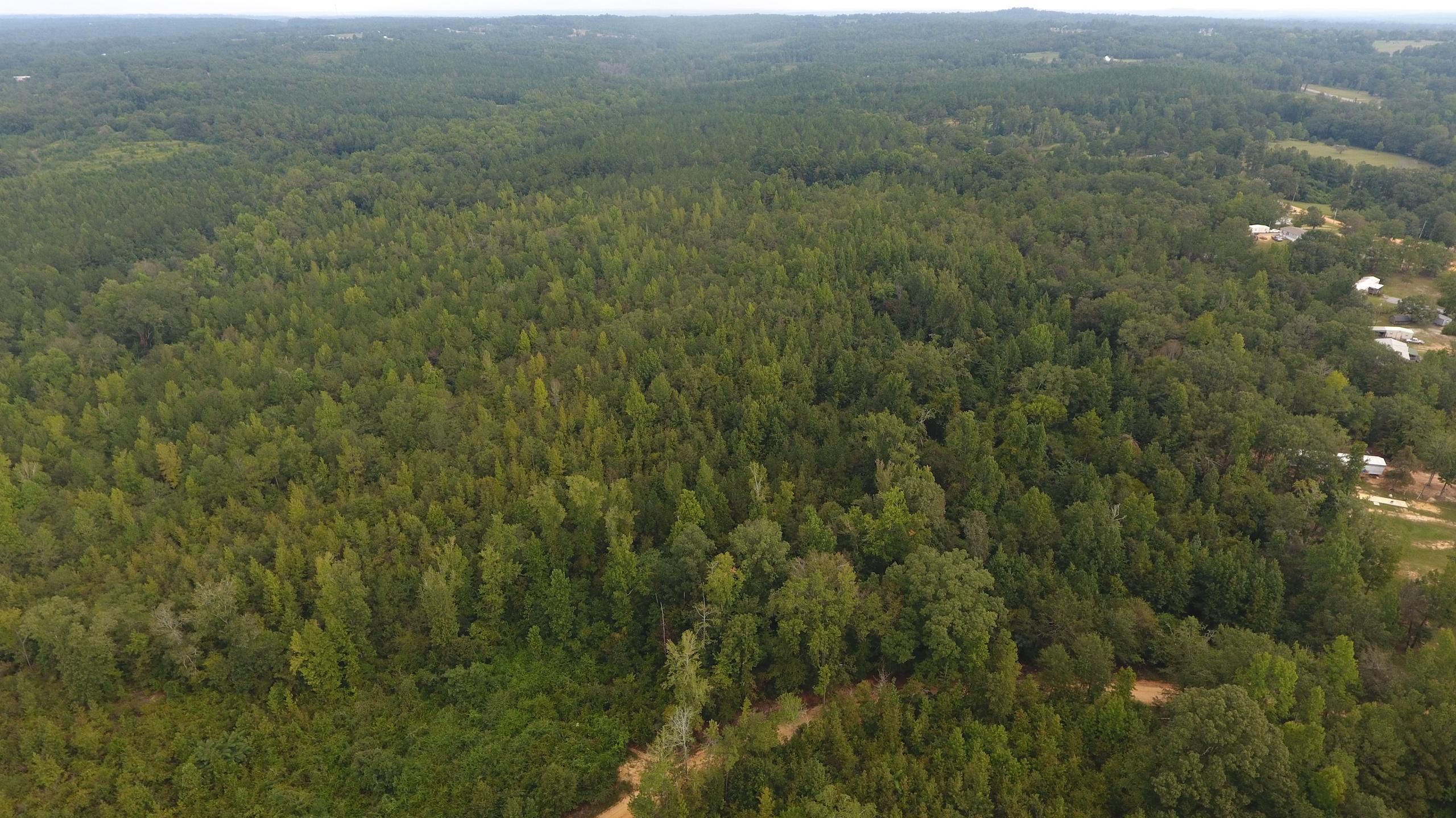 Marbury, Autauga County, AL Recreational Property, Timberland Property ...