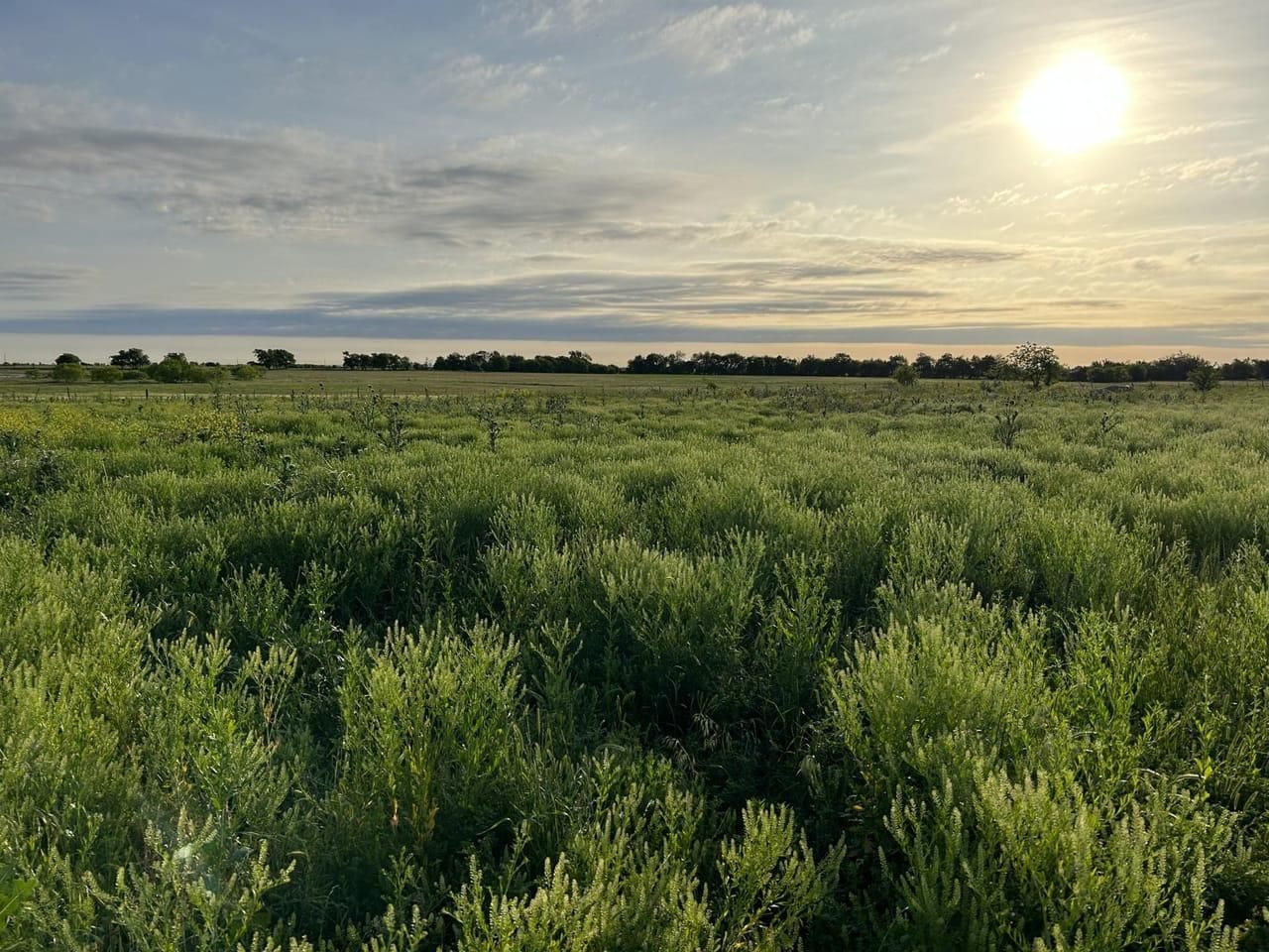 5454 Upper Denton Road, Weatherford, TX 76085 | LandWatch