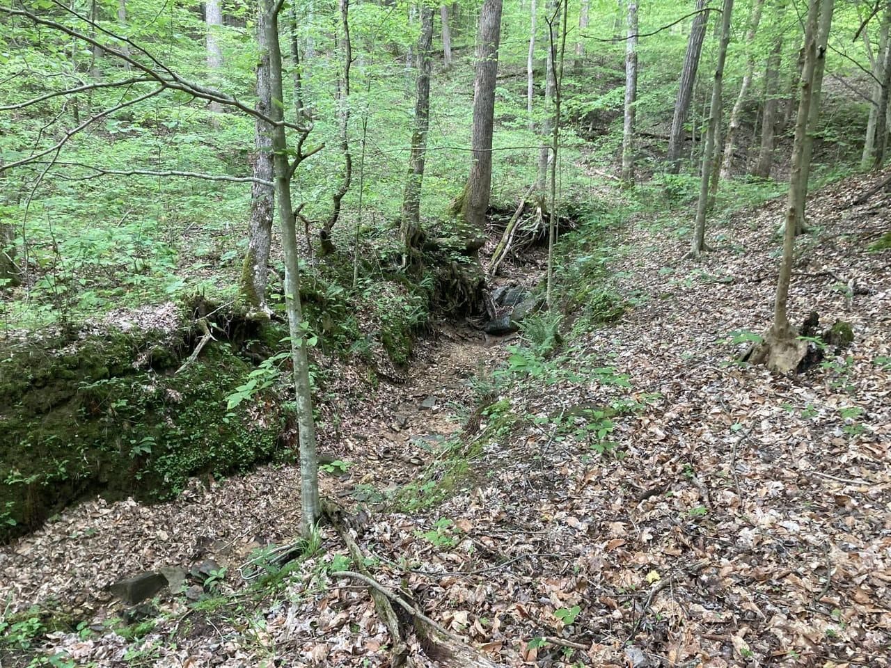 powder mill KY 569, Canmer, KY 42722 | LandWatch