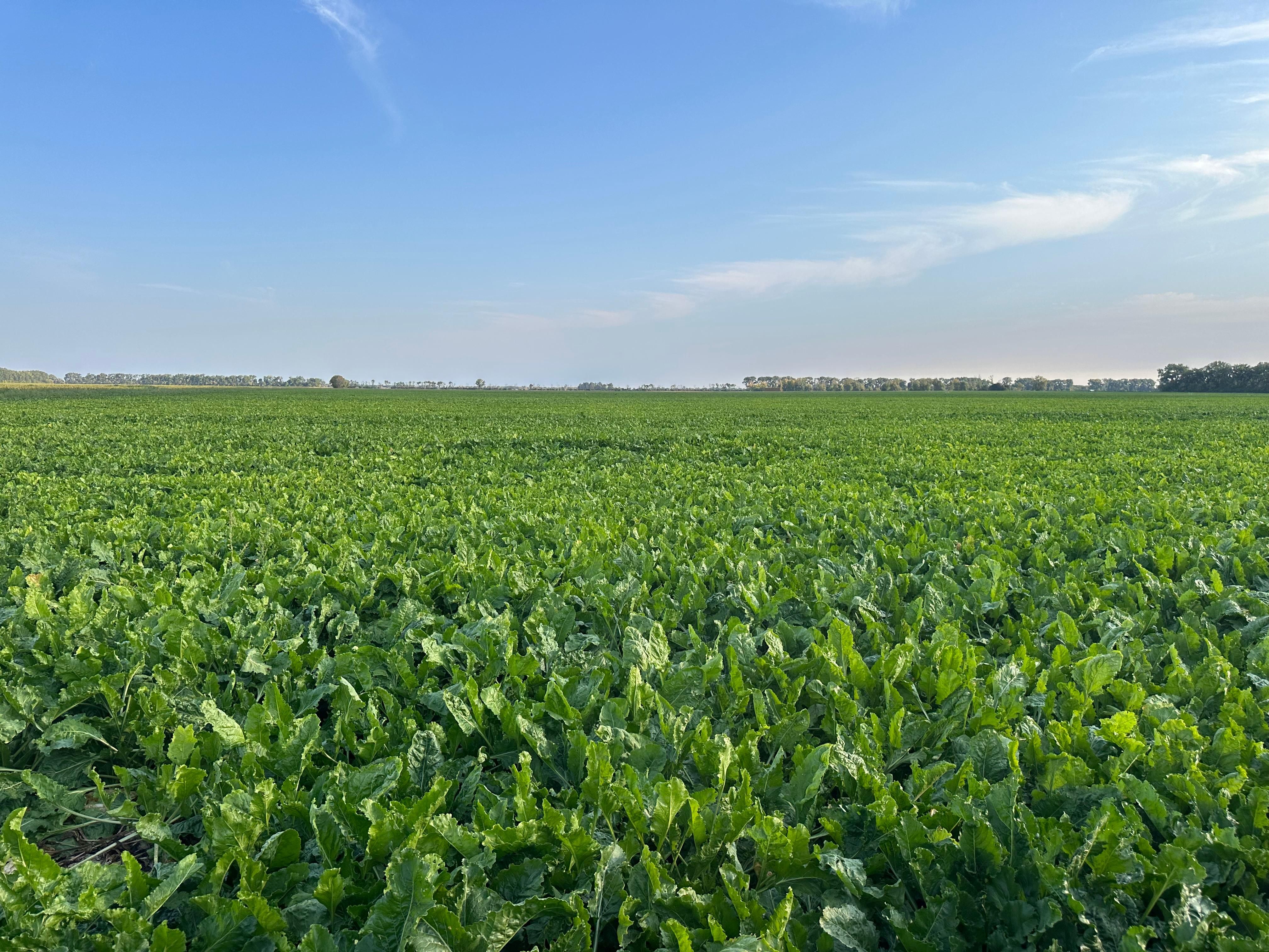 794.32 acres in Inkster, ND, 58244 | LandWatch