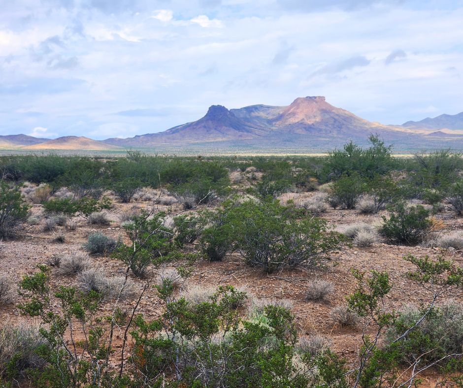 Temple Bar Marina, Mohave County, AZ Recreational Property, Undeveloped ...