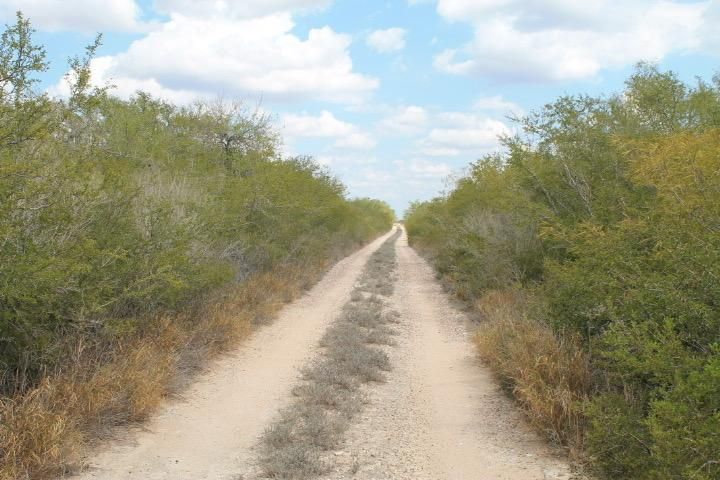 145 acres in Guerra, TX, 78360 | LandWatch
