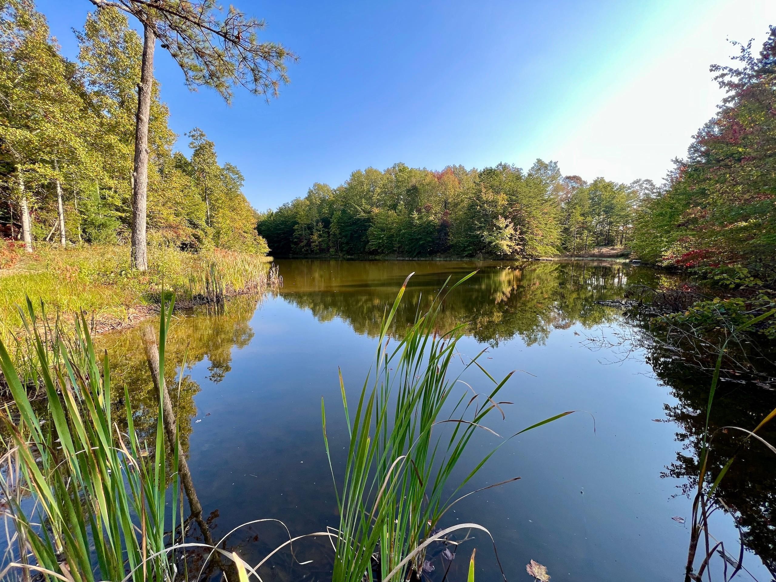 Lancing, Morgan County, TN Recreational Property, Timberland Property ...