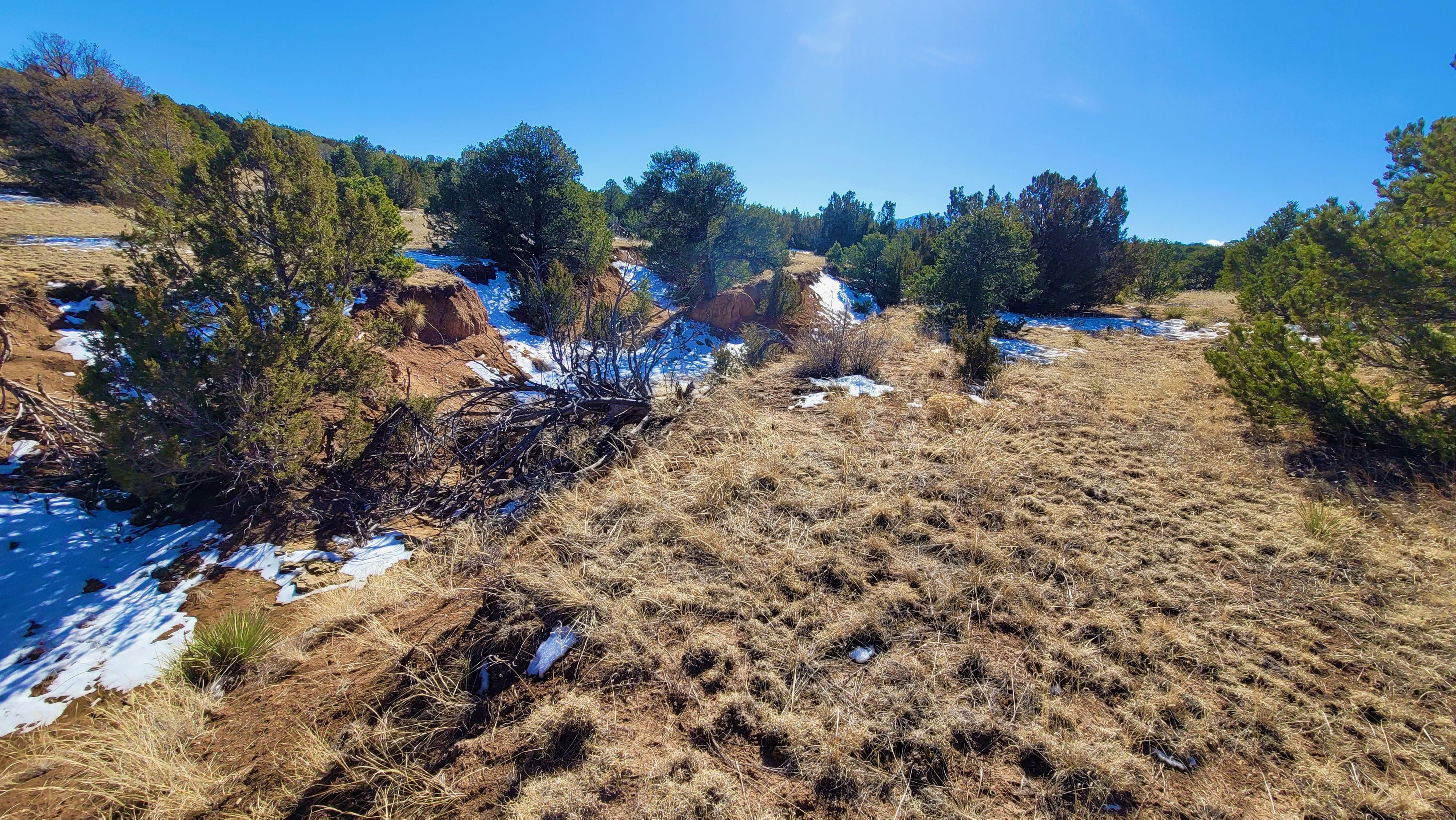TBD CR502, Walsenburg, CO 81089 | LandWatch