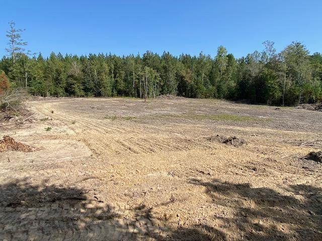 Rutledge, Crenshaw County, AL Recreational Property, Hunting Property ...