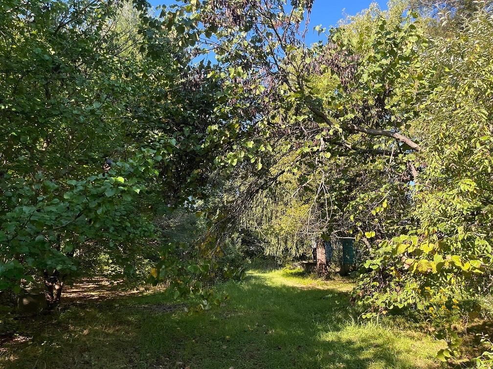 Concord, Campbell County, VA Timberland Property, Undeveloped Land for ...