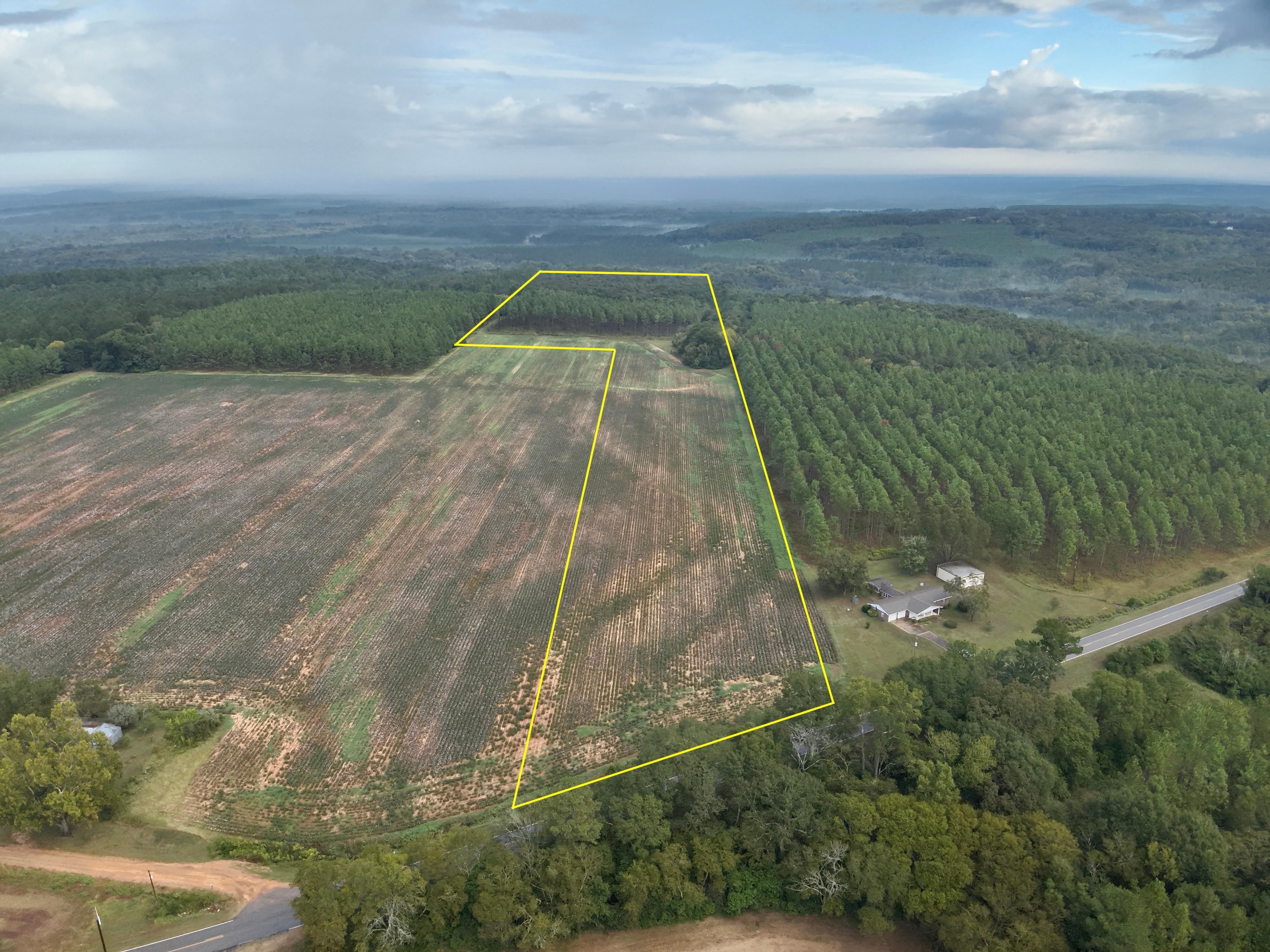 County Road 41, Hartford, AL 36344 | MLS: 01030-40513 | LandWatch