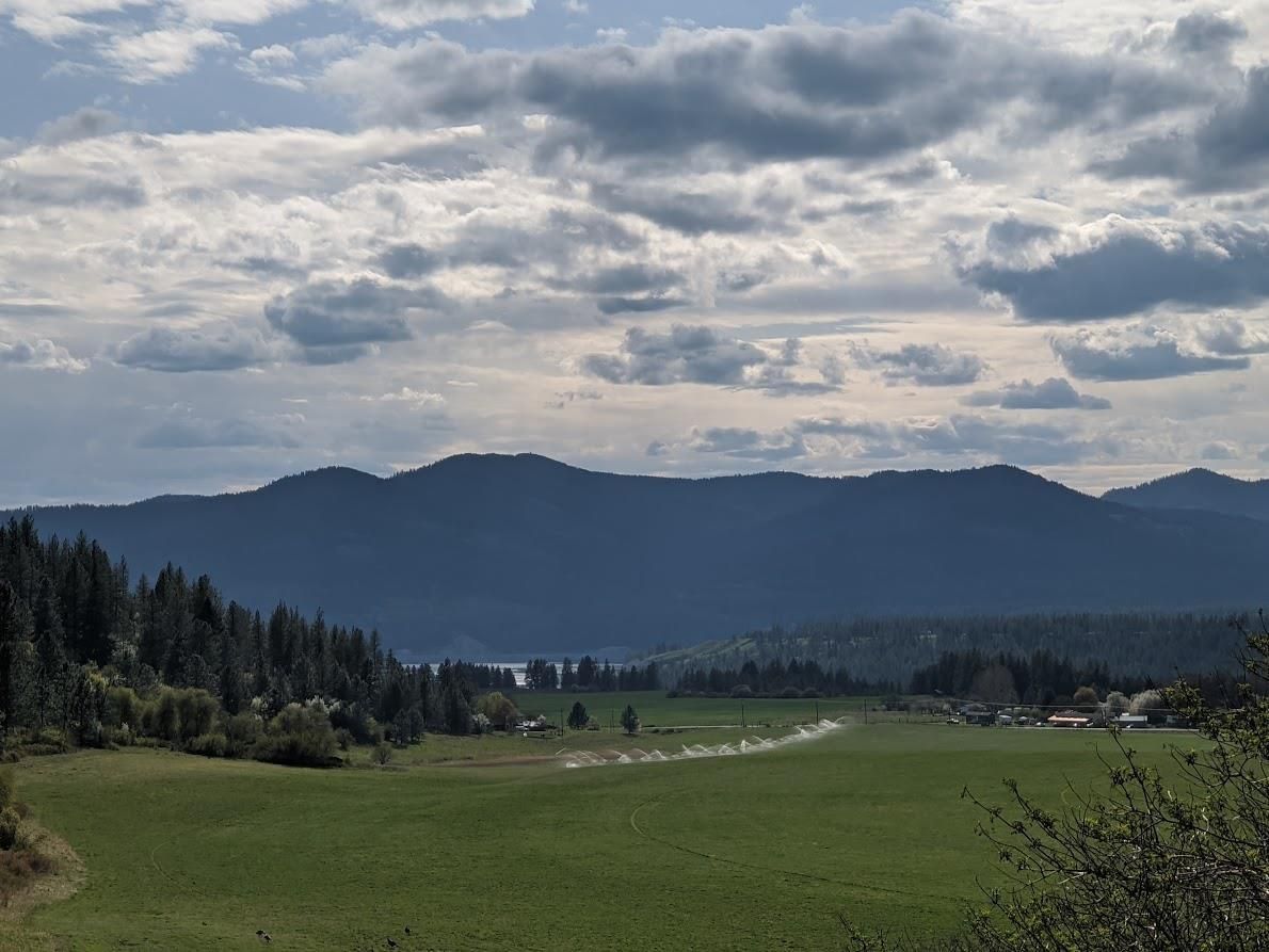 3703 Cedonia-Addy Rd, Hunters, WA 99137 | MLS: 202320026 | LandWatch