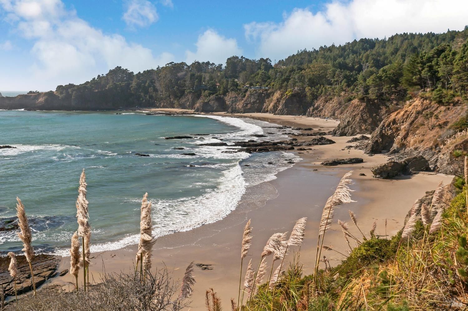35700 S Highway 1, Anchor Bay, CA 95445 | MLS: 323915144 | LandWatch
