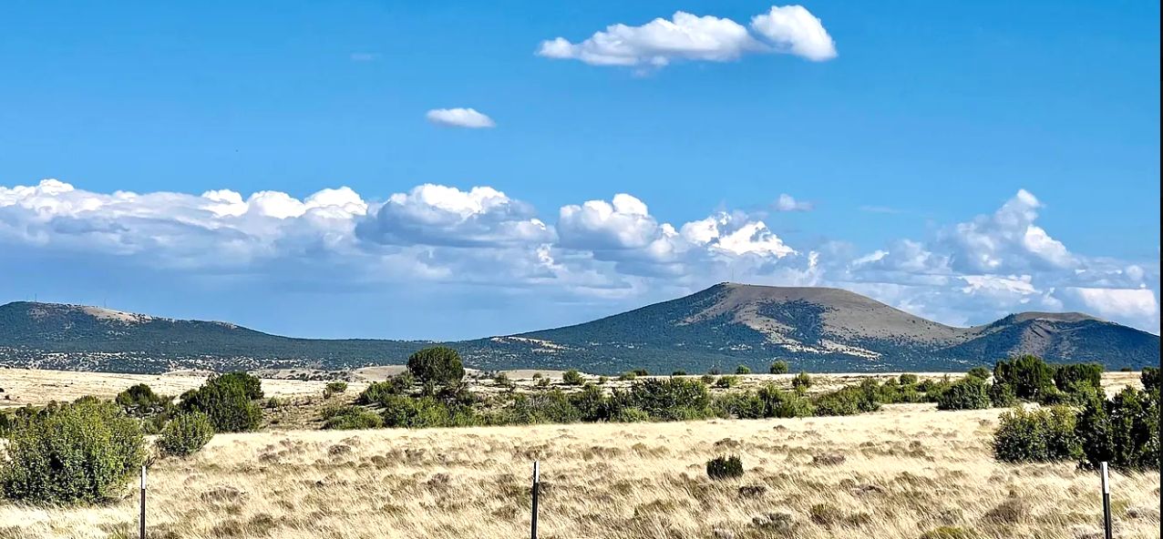 N3367, Vernon, AZ 85940 | LandWatch